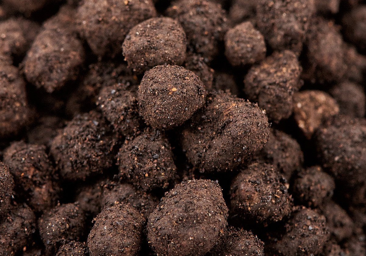 Aquario Neo Shrimp Soil — Buce Plant