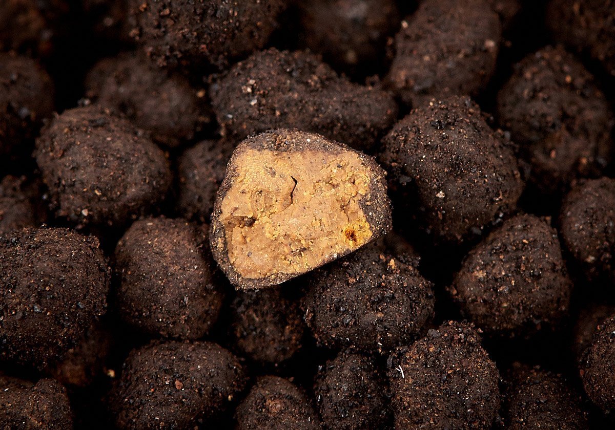 Aquario Neo Shrimp Soil — Buce Plant