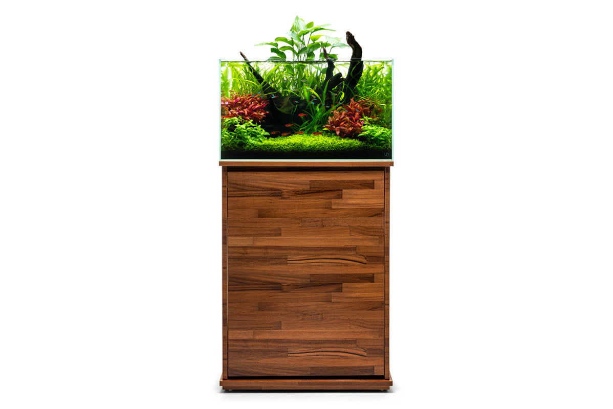 Aquarium Stands for Planted Tanks — Buce Plant