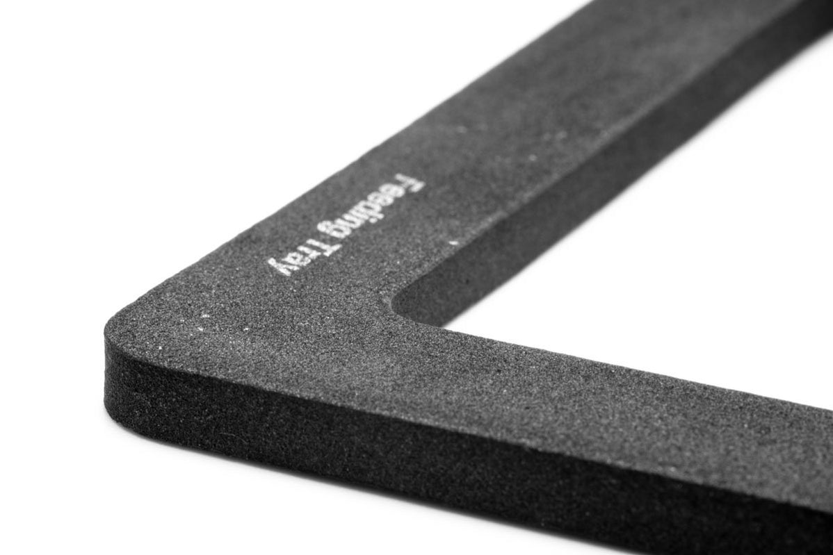 DYMAX — Buce Plant