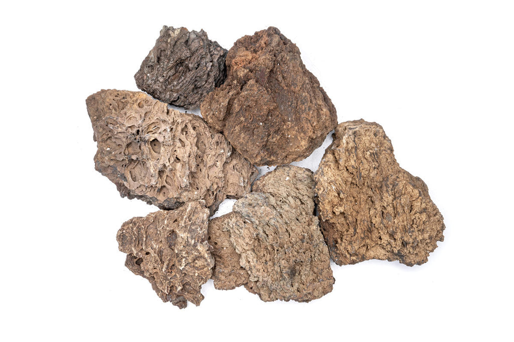 Aquascaping Rocks Aquarium Hardscape — Buce Plant