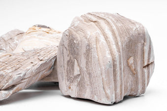 Gobi Desert Stone Aquarium Hardscape — Buce Plant