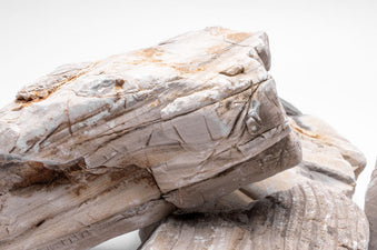 Gobi Desert Stone Aquarium Hardscape — Buce Plant