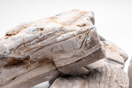 Gobi Desert Stone Aquarium Hardscape — Buce Plant