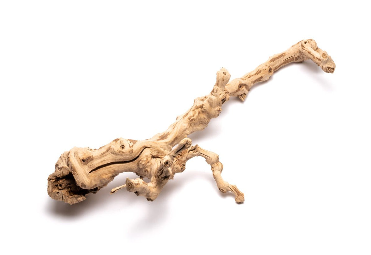 Sandblasted Grape Wood for Planted Tanks Size Medium - Buce Plant