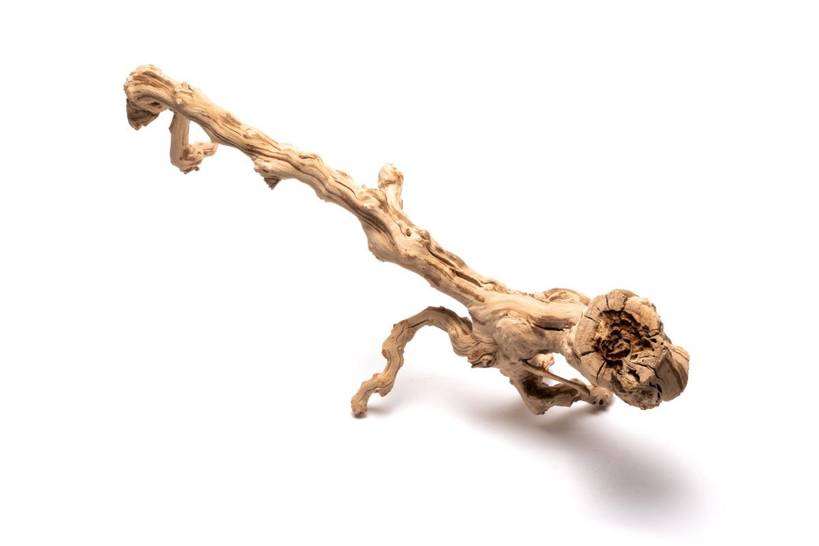 Sandblasted Grape Wood for Planted Tanks Size Medium - Buce Plant