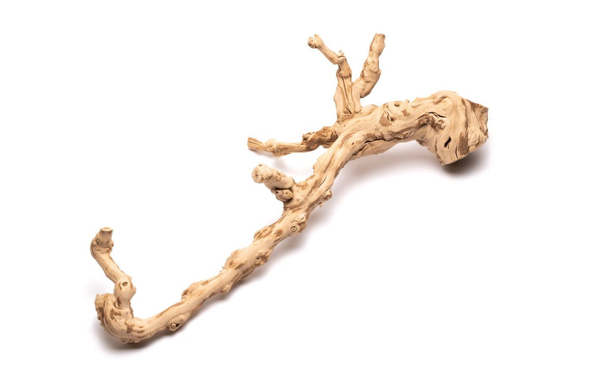 Sandblasted Grape Wood for Planted Tanks Size Medium - Buce Plant