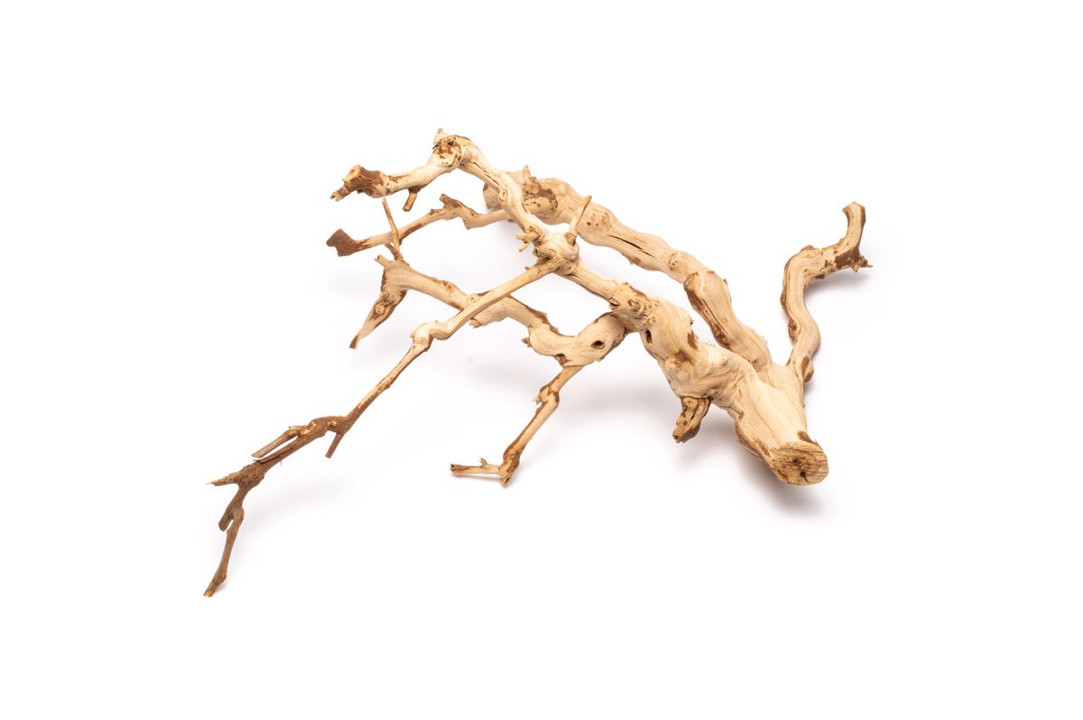 Sandblasted Grape Wood for Planted Tanks Size Small — Buce Plant