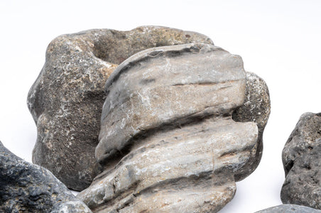 Hakkai Stone Aquarium Hardscape — Buce Plant