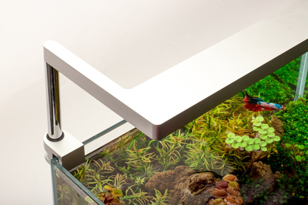 ONF Flat Nano LED Light — Buce Plant