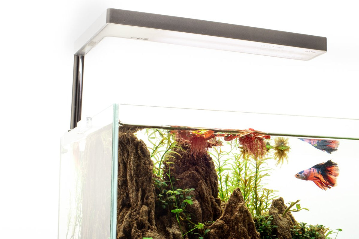 ONF Flat Nano LED Light — Buce Plant