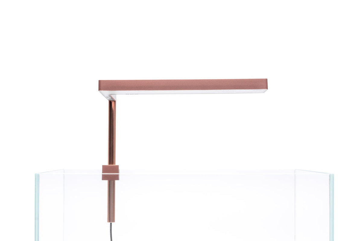 ONF Flat Nano LED Light — Buce Plant