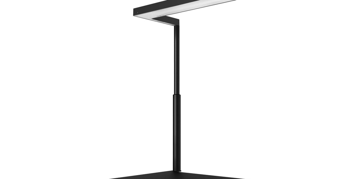 ONF Flat Nano Stand Aquarium LED Light — Buce Plant