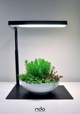 ONF Flat Nano Stand Aquarium LED Light — Buce Plant