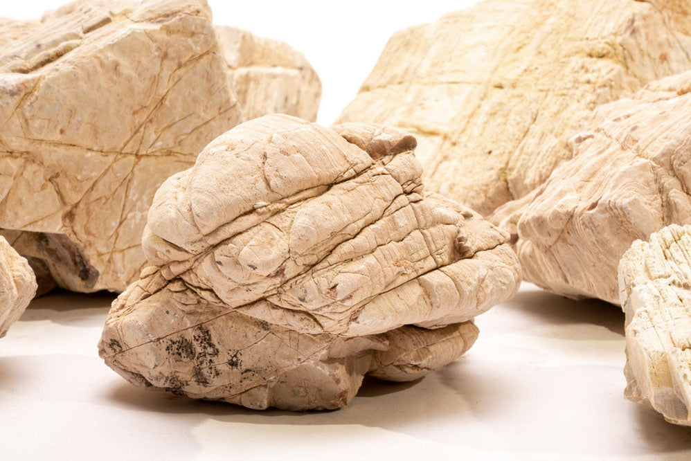 Aquascaping Rocks Aquarium Hardscape — Buce Plant