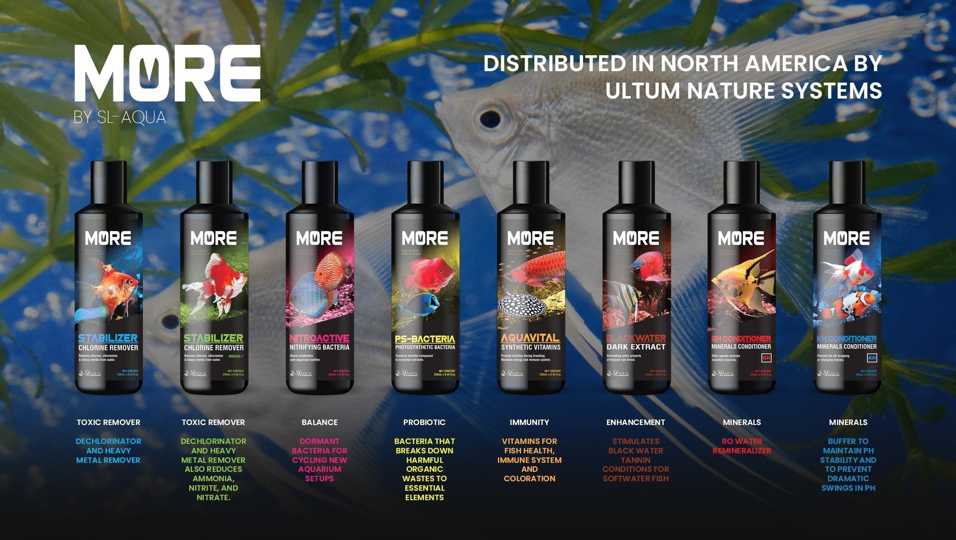 SL-Aqua Black MORE Aquavital for Fish — Buce Plant