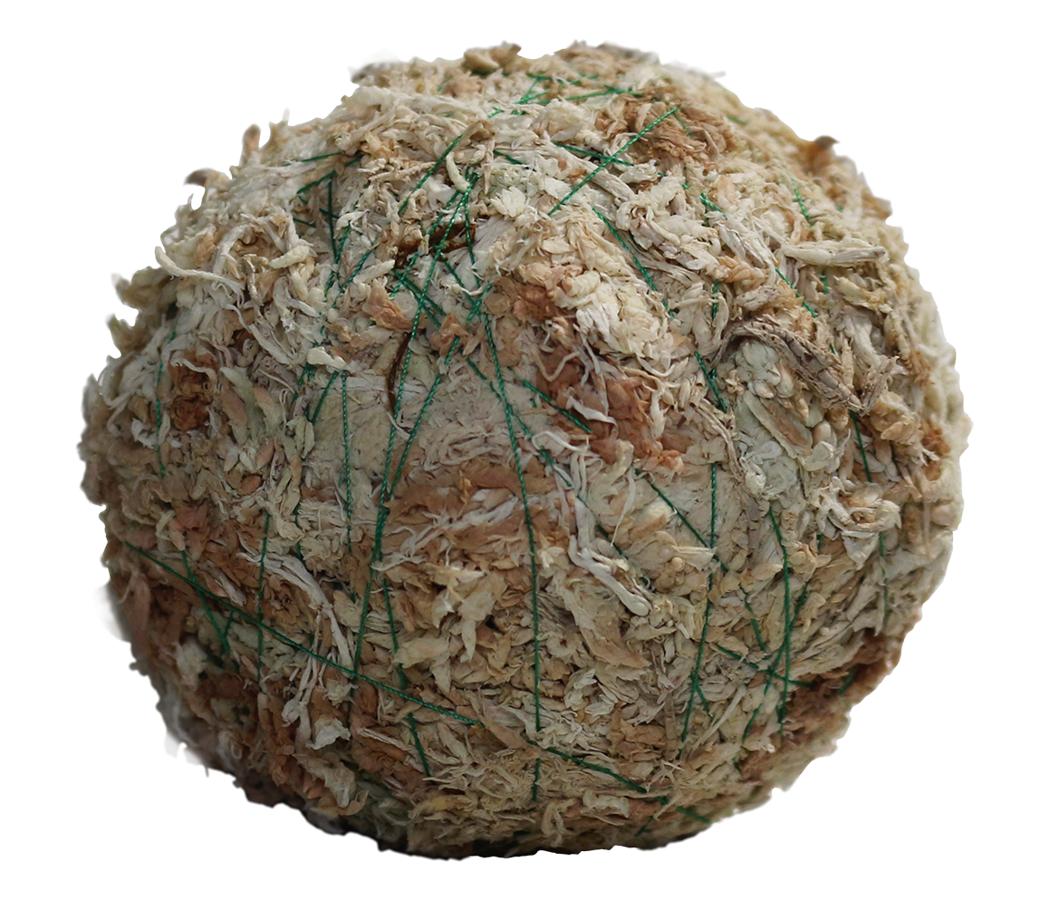 Studio Aquatica Wabi Kusa Substrate Ball — Buce Plant