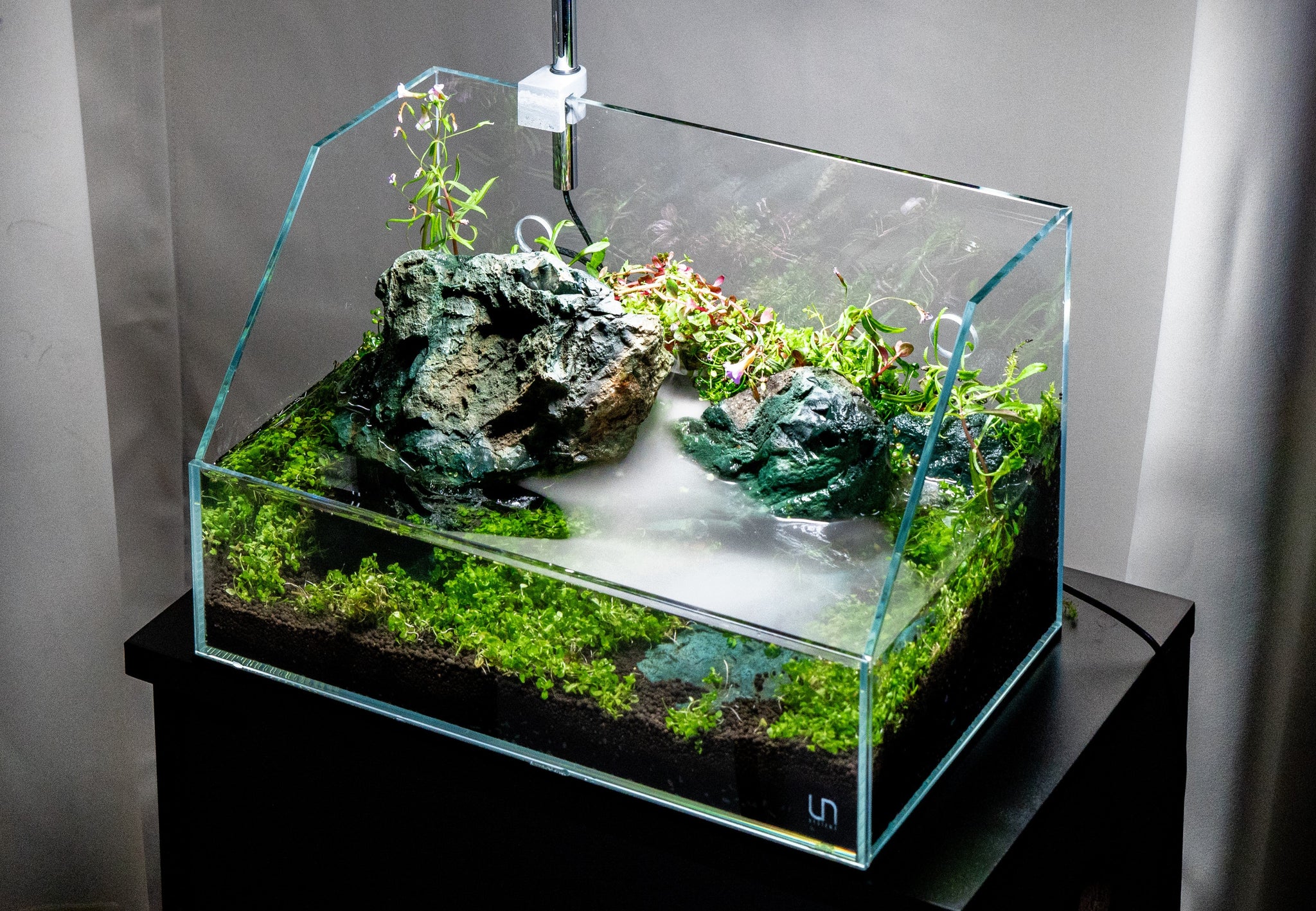 Rimless Glass Aquarium Tanks - Ultum Nature Systems — Buce Plant