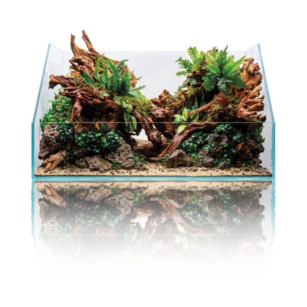 Rimless Glass Aquarium Tanks - Ultum Nature Systems — Buce Plant