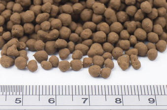 UNS Controsoil Brown Aquarium Soil — Buce Plant