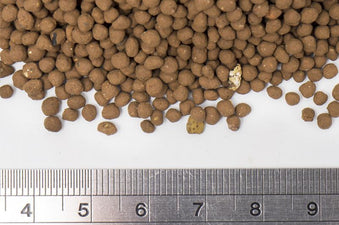 UNS Controsoil Brown Aquarium Soil — Buce Plant