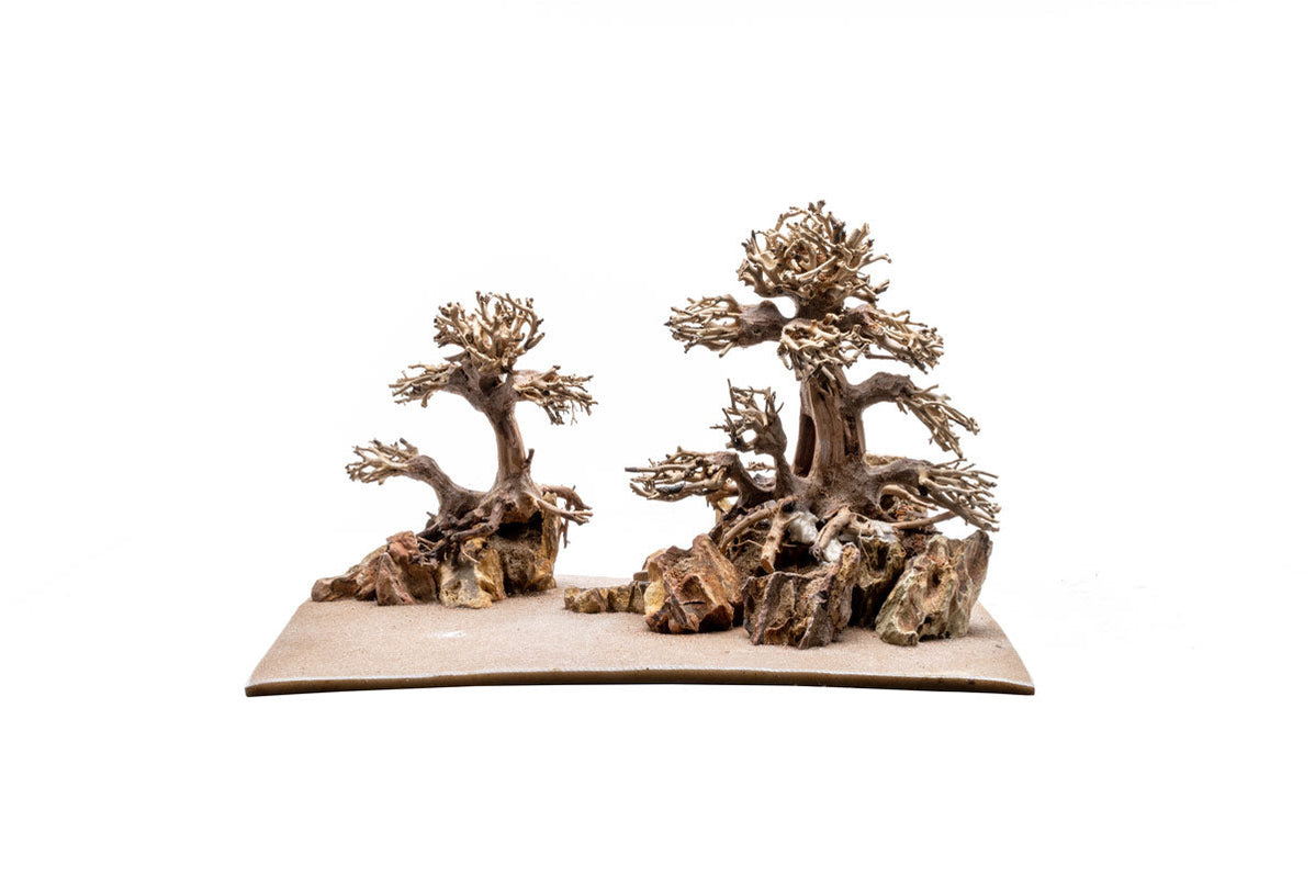 UNS Strata Pro — Buce Plant