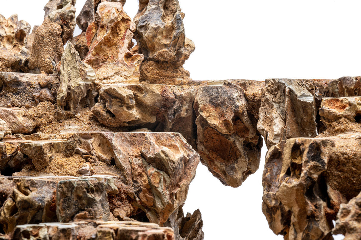 UNS Strata Pro Type 11 — Buce Plant