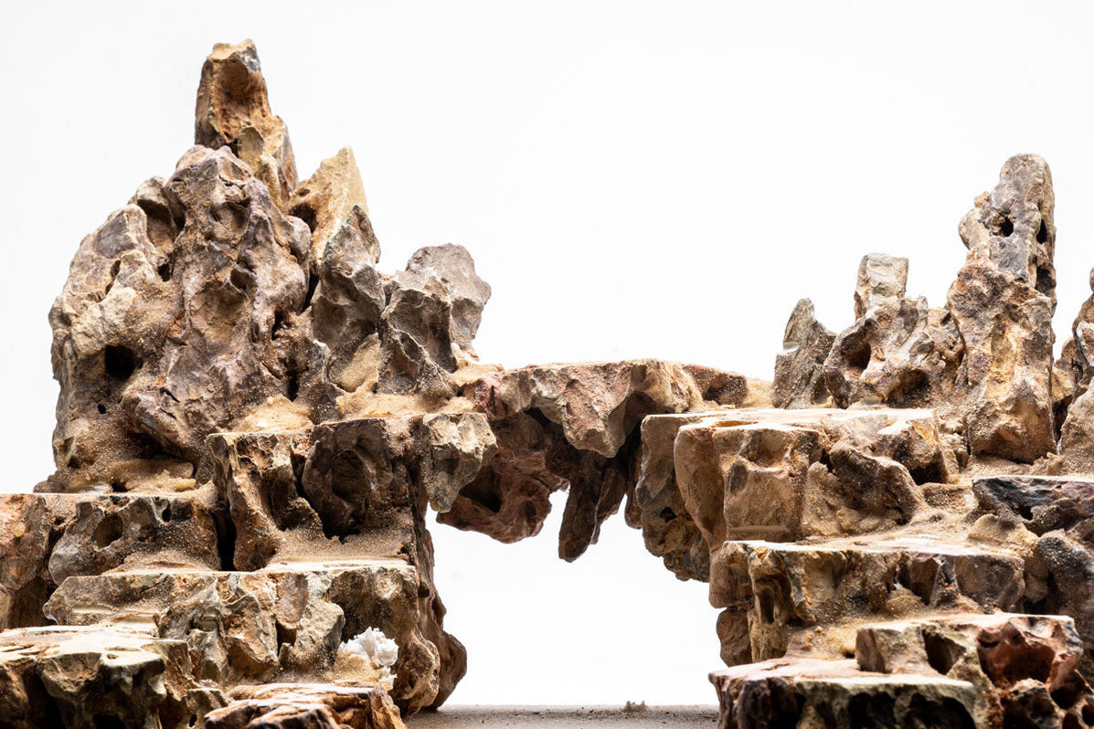 UNS Strata Pro Type 11 — Buce Plant