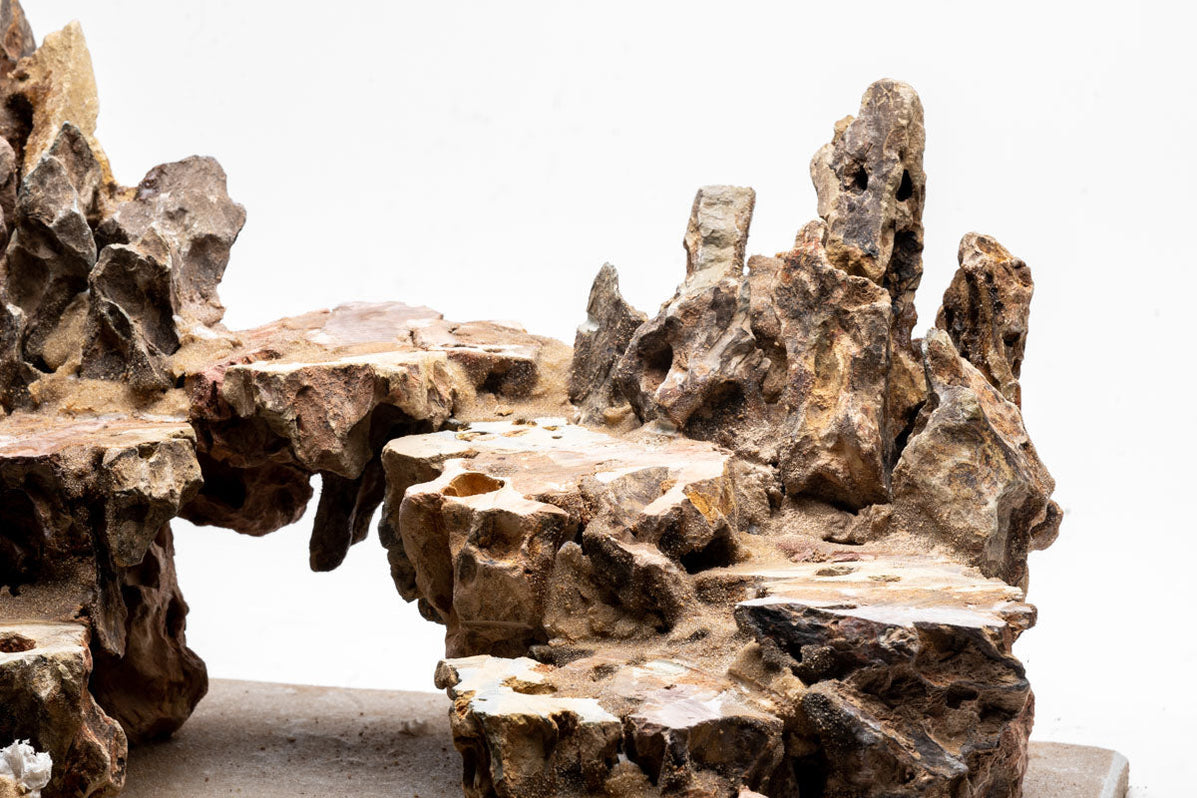 UNS Strata Pro Type 11 — Buce Plant