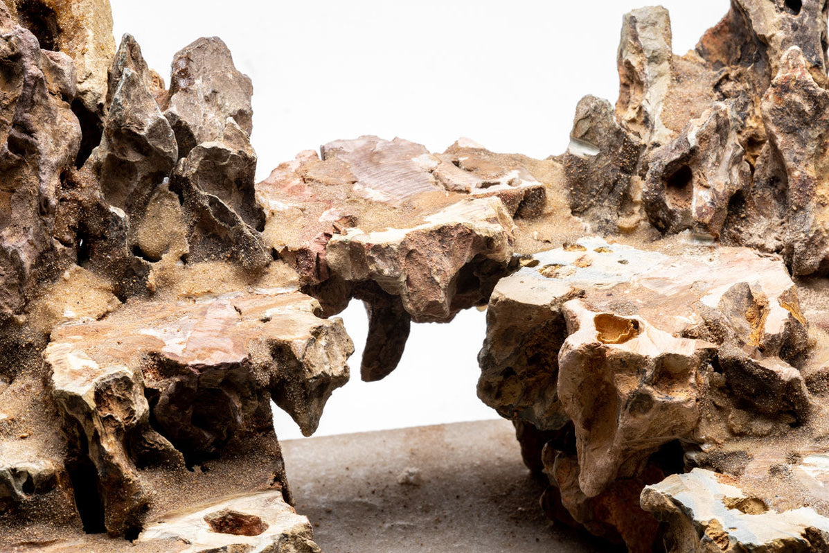 UNS Strata Pro Type 11 — Buce Plant