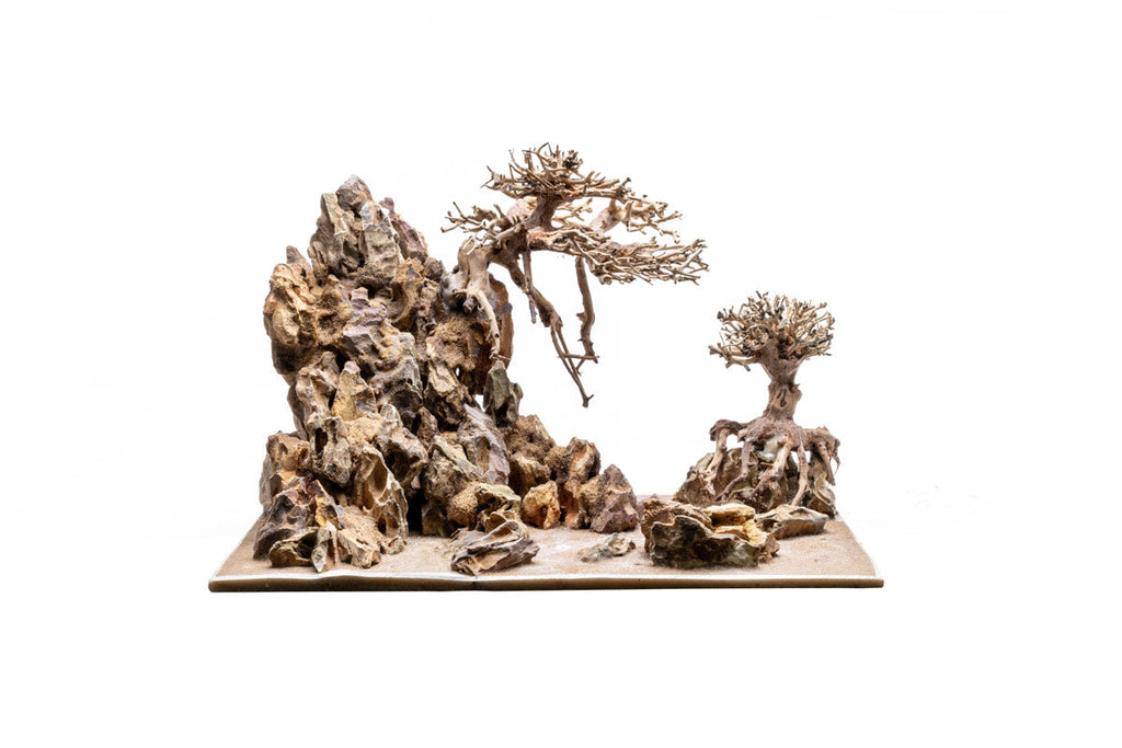 BucePlant.com - Aquascaping and Aquarium Plants Super Store — Buce Plant