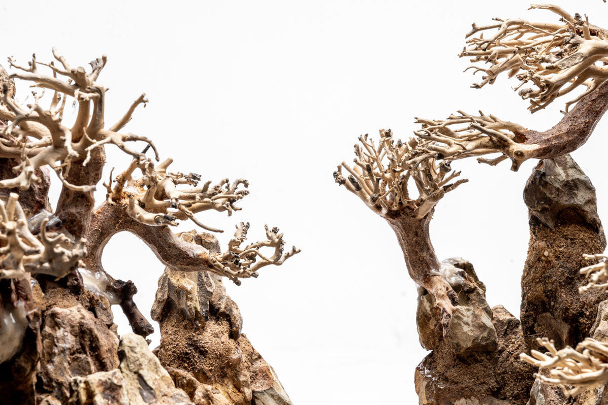 UNS Strata Pro Type 15 — Buce Plant