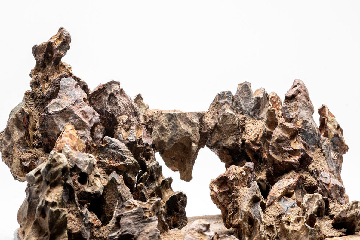 UNS Strata Pro Type 2 — Buce Plant