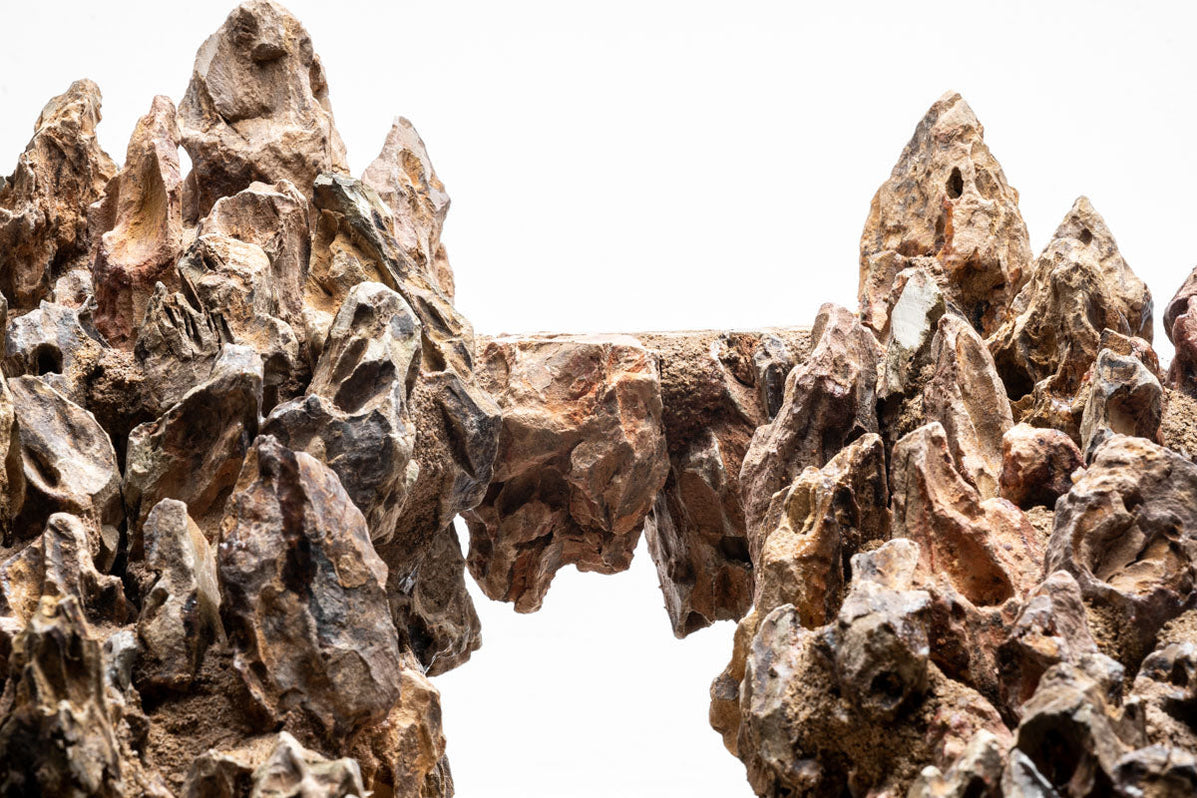 UNS Strata Pro Type 2 — Buce Plant