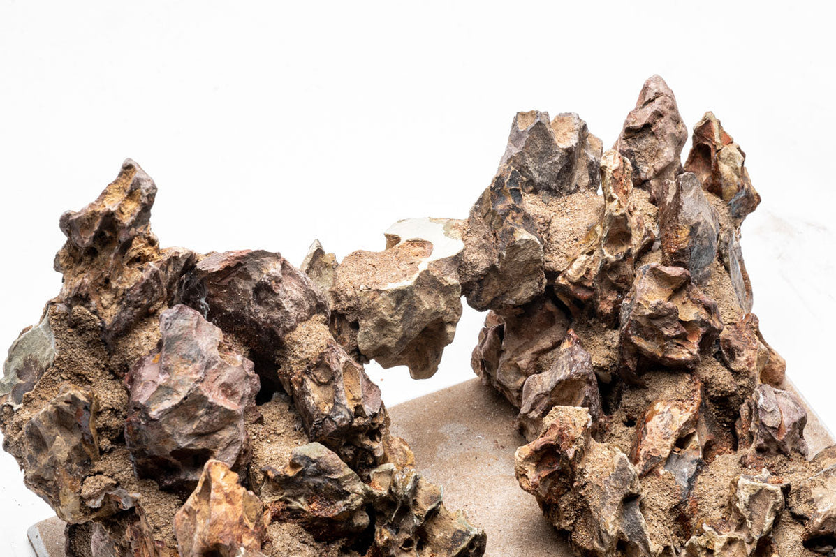 UNS Strata Pro Type 2 — Buce Plant