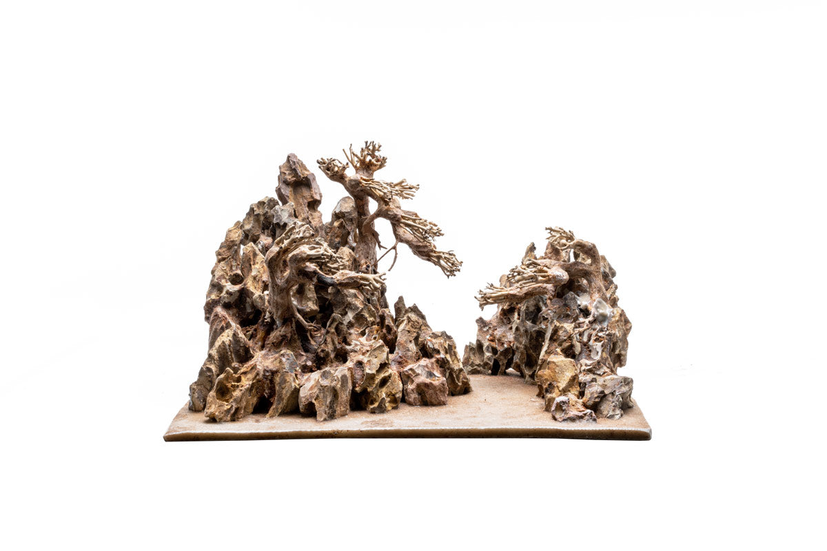 UNS Strata Pro Type 3 — Buce Plant