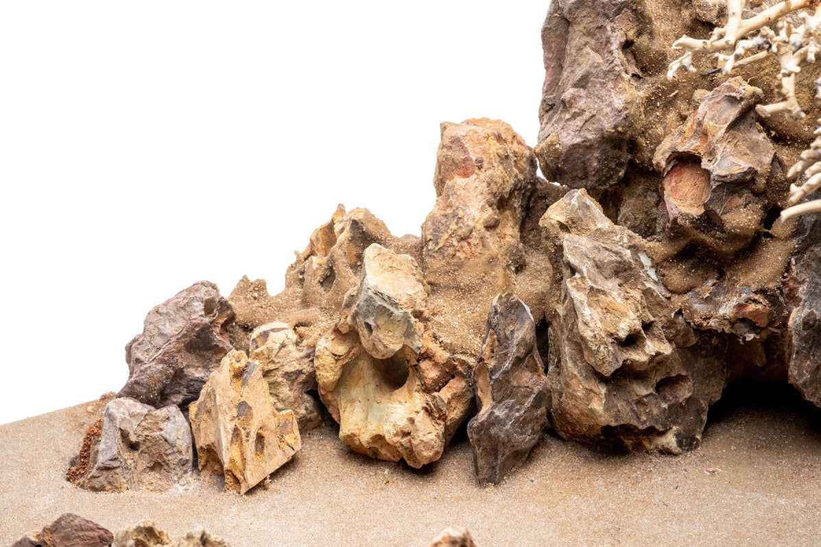 UNS Strata Pro Type 4 — Buce Plant