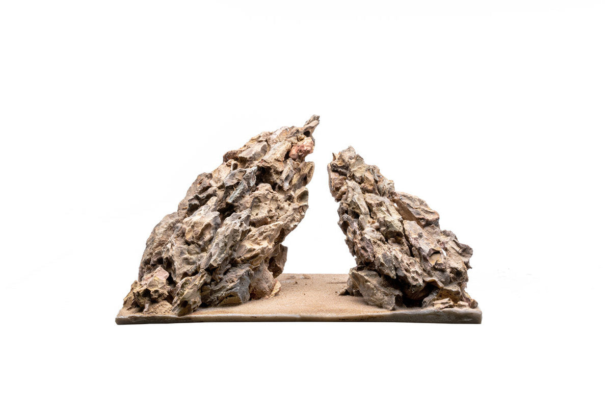 UNS Strata Pro Type 5 — Buce Plant