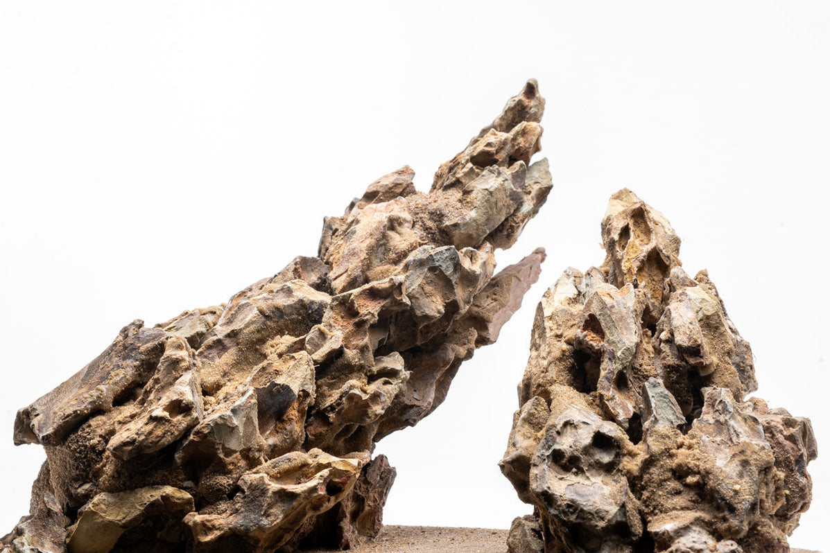 UNS Strata Pro Type 5 — Buce Plant