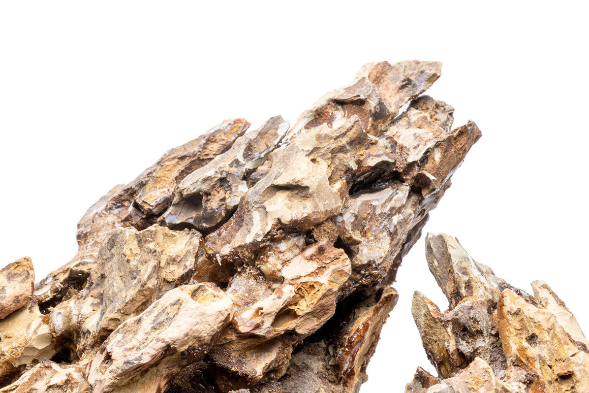 UNS Strata Pro Type 5 — Buce Plant