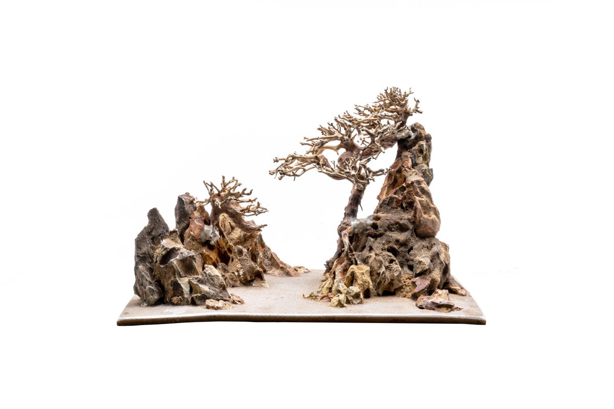UNS Strata Pro Type 7 - Buce Plant