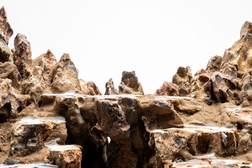 UNS Strata Pro — Buce Plant