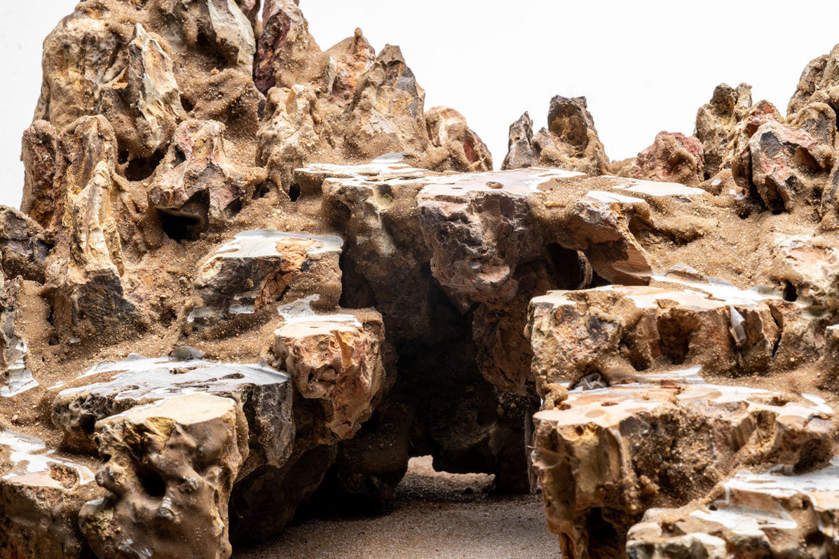 UNS Strata Pro Type 9 — Buce Plant