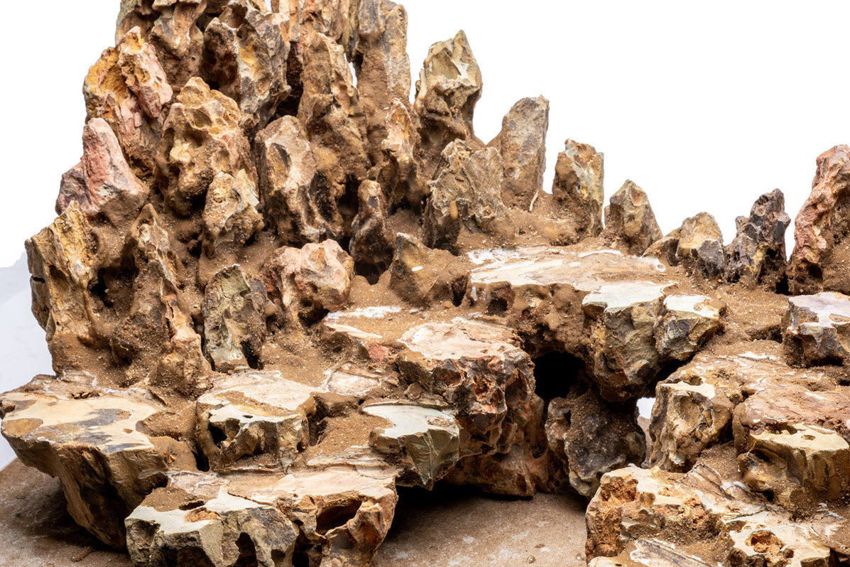 UNS Strata Pro Type 9 — Buce Plant