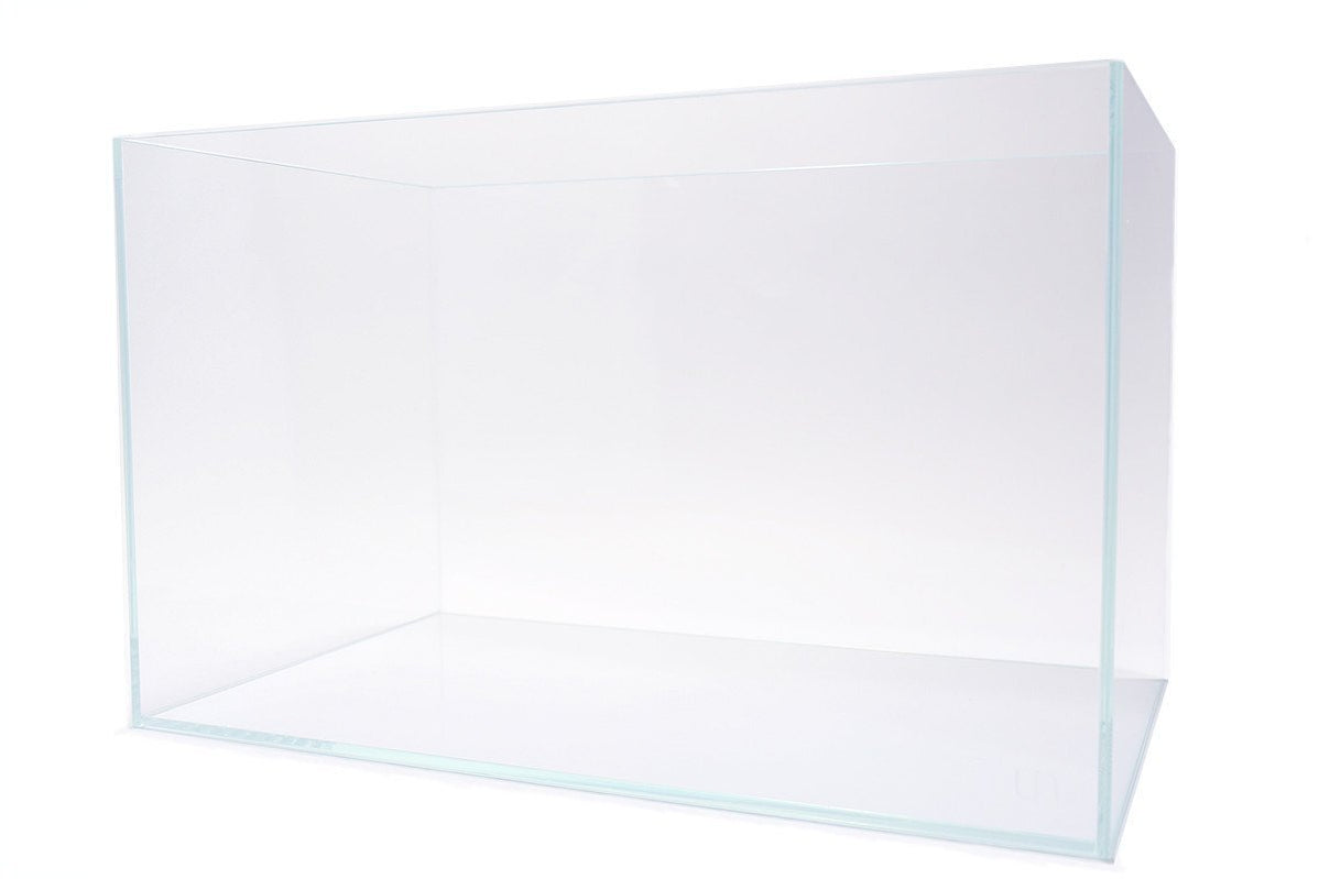 Rimless Glass Aquarium Tanks - Ultum Nature Systems — Buce Plant