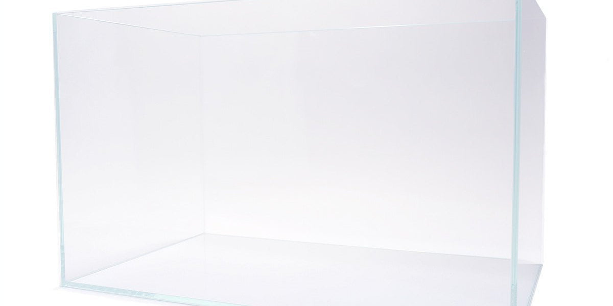 UNS Ultra Clear Tanks — Buce Plant