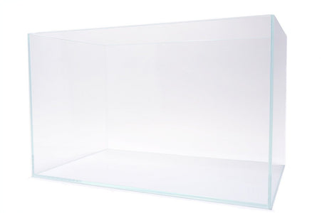 UNS Ultra Clear Tanks — Buce Plant