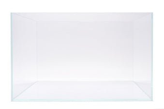 UNS Ultra Clear Tanks — Buce Plant