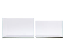 UNS Ultra Clear Tanks — Buce Plant