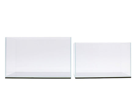 UNS Ultra Clear Tanks — Buce Plant